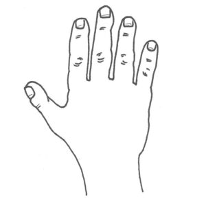 Handlezen: dit zegt de vorm van je hand over jouw persoonlijkheid ...